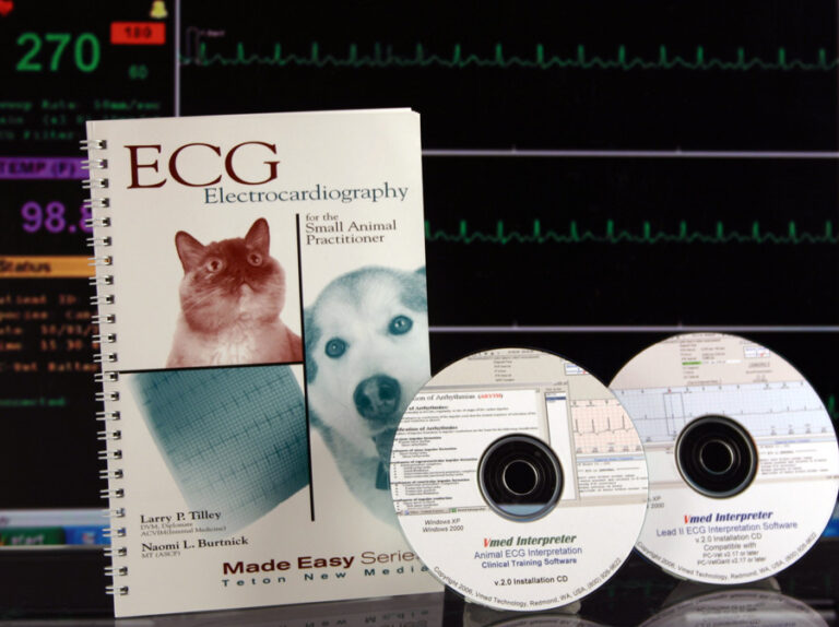 ecg interpreter - Vmed Technology